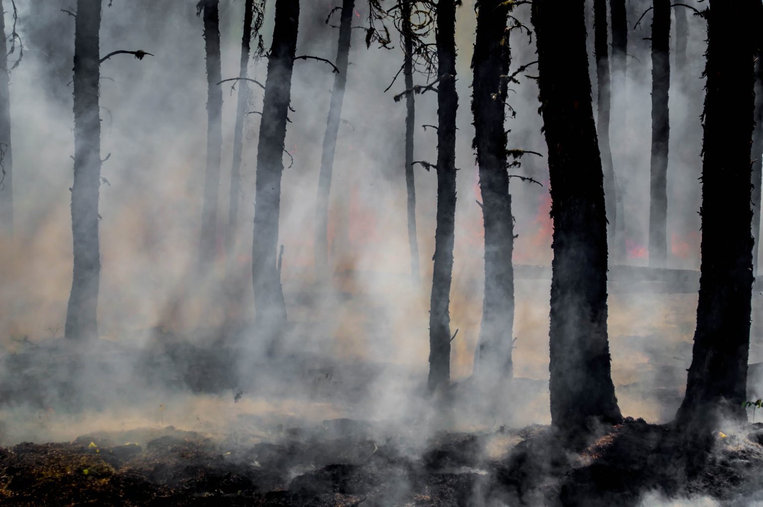 Why Disaster Preparedness is So Important – BUNKER BASICS Why Disaster Preparedness is So Important – BUNKER BASICS